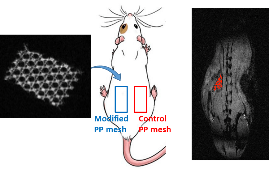 Polymer and diagnostics — IBMM Polymers for Health and Biomaterials