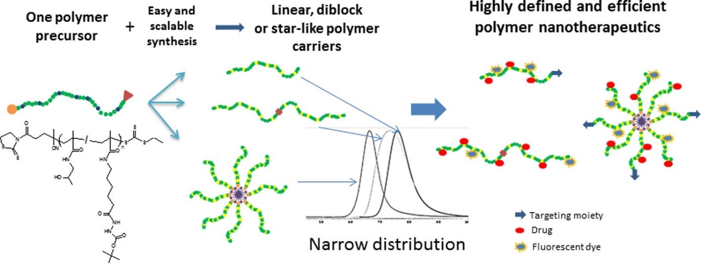 Advanced polymeric biomaterials — IBMM Polymers for Health and Biomaterials