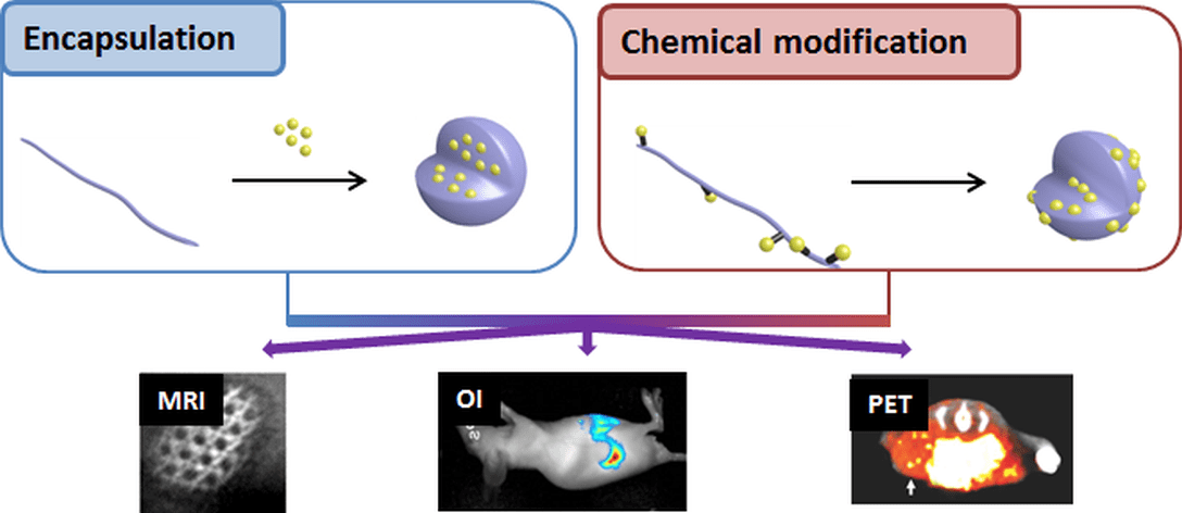 Aliphatic polyesters for medical imaging and theranostic applications ...