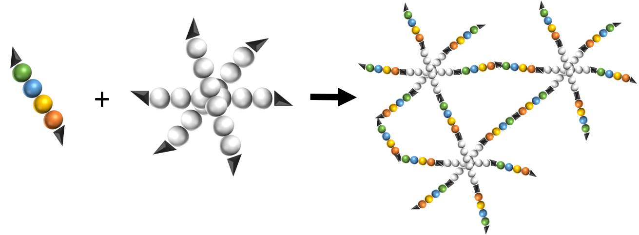 Advanced polymeric biomaterials — IBMM Polymers for Health and Biomaterials