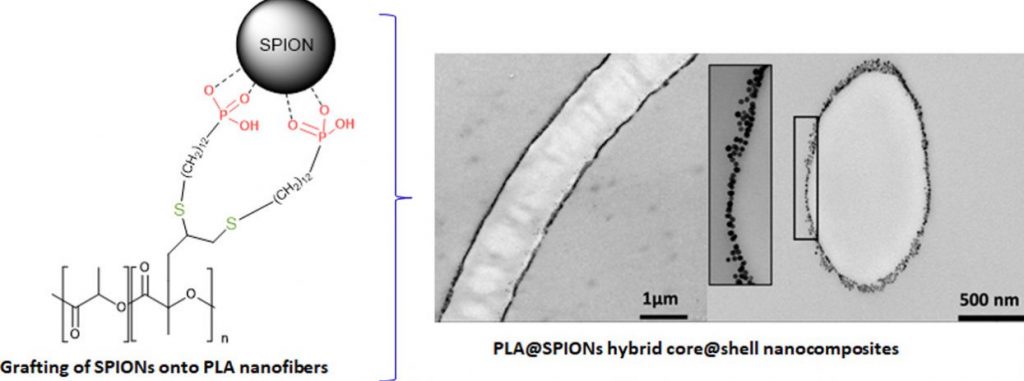 Advanced polymeric biomaterials — IBMM Polymers for Health and Biomaterials