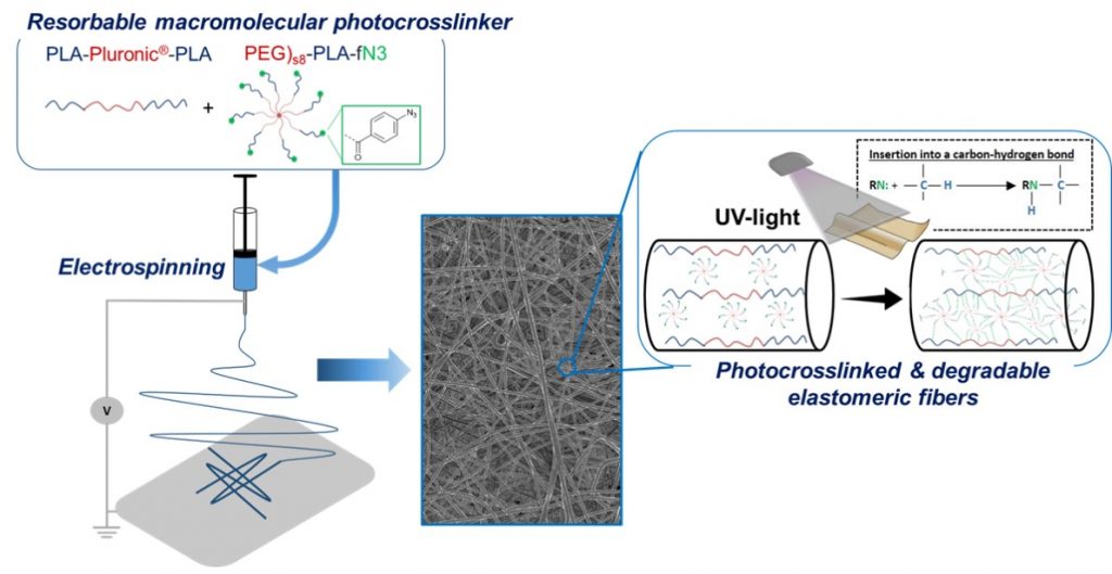 Degradable multi(aryl-azide) star copolymer as universal photo ...