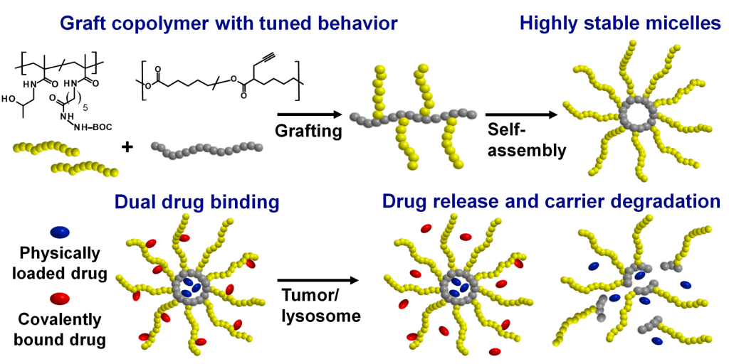 Publications — IBMM Polymers for Health and Biomaterials