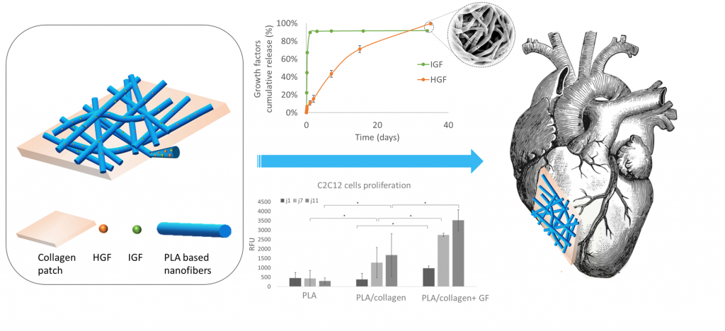Design of Hybrid Polymer Nanofiber/Collagen Patches Releasing IGF and ...